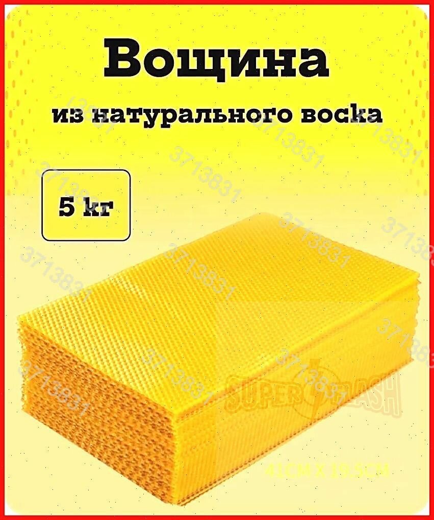 Вощина