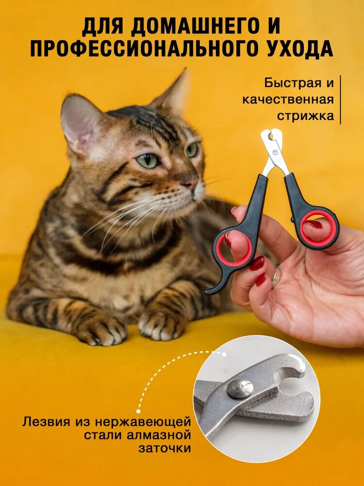 Когтерезка для животных (собак, кошек, грызунов) из нержавеющей стали и пластика, черная — фото 1