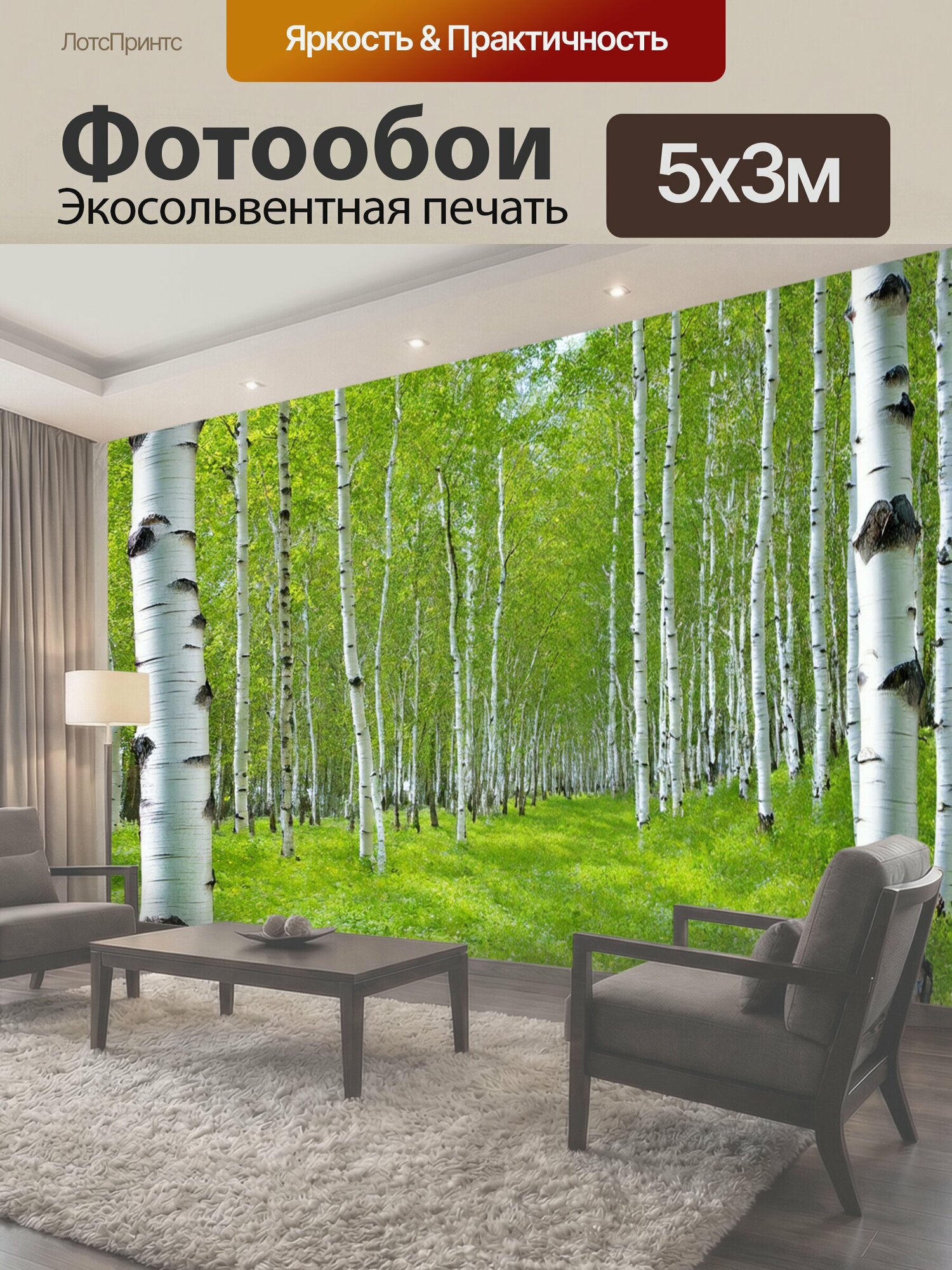 Фотообои "Березовая роща с белыми стволами деревьев и зеленым травяным покрытием" 500x300 см. экосольвентная печать