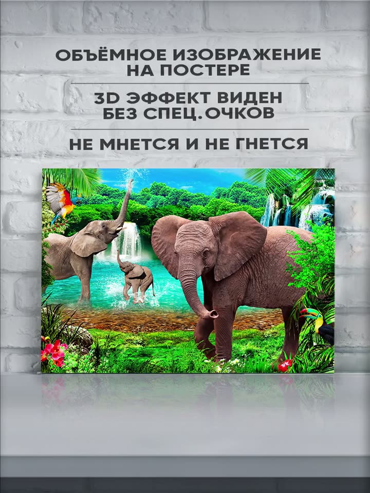 Стереопостер "Слоны" — фото 1
