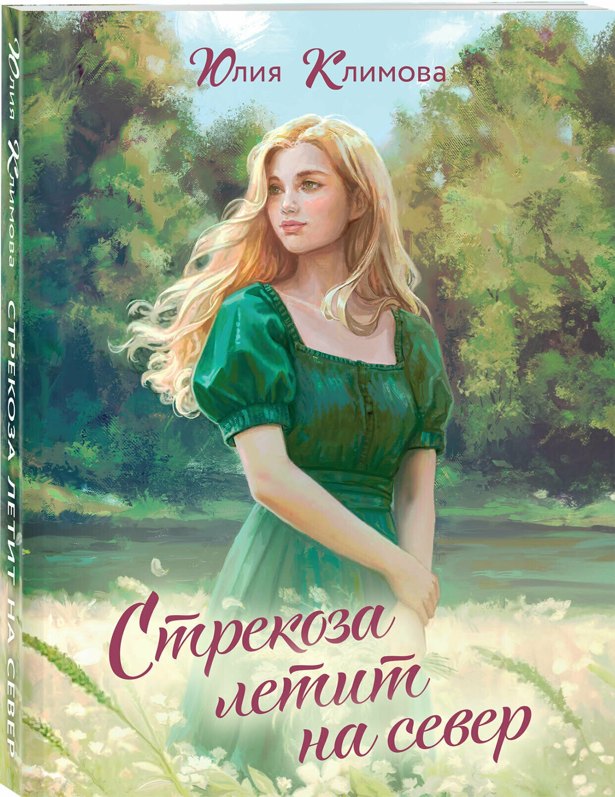 Климова Ю. В. Стрекоза летит на север