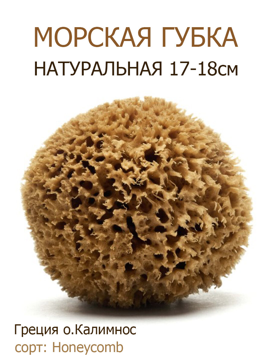 Губка морская натуральная Milos, HONEYCOMB, 17-18 см Греция (о. Милос)