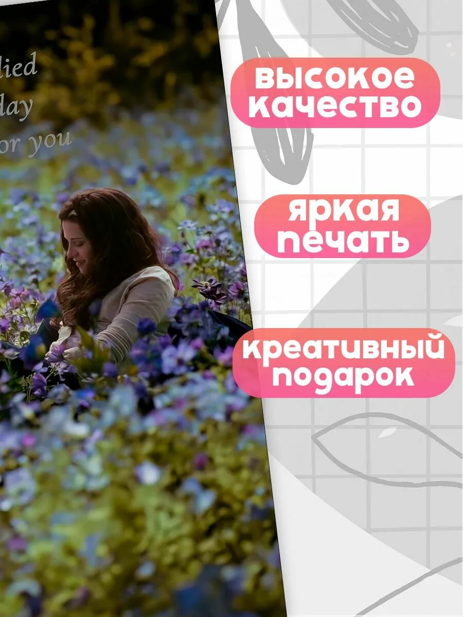 Постер на стену Сумерки, плакат 1шт, А4 размер. — фото 1