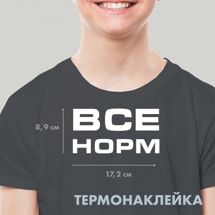 Термонаклейка "Все норм" 8002319 "deVente"