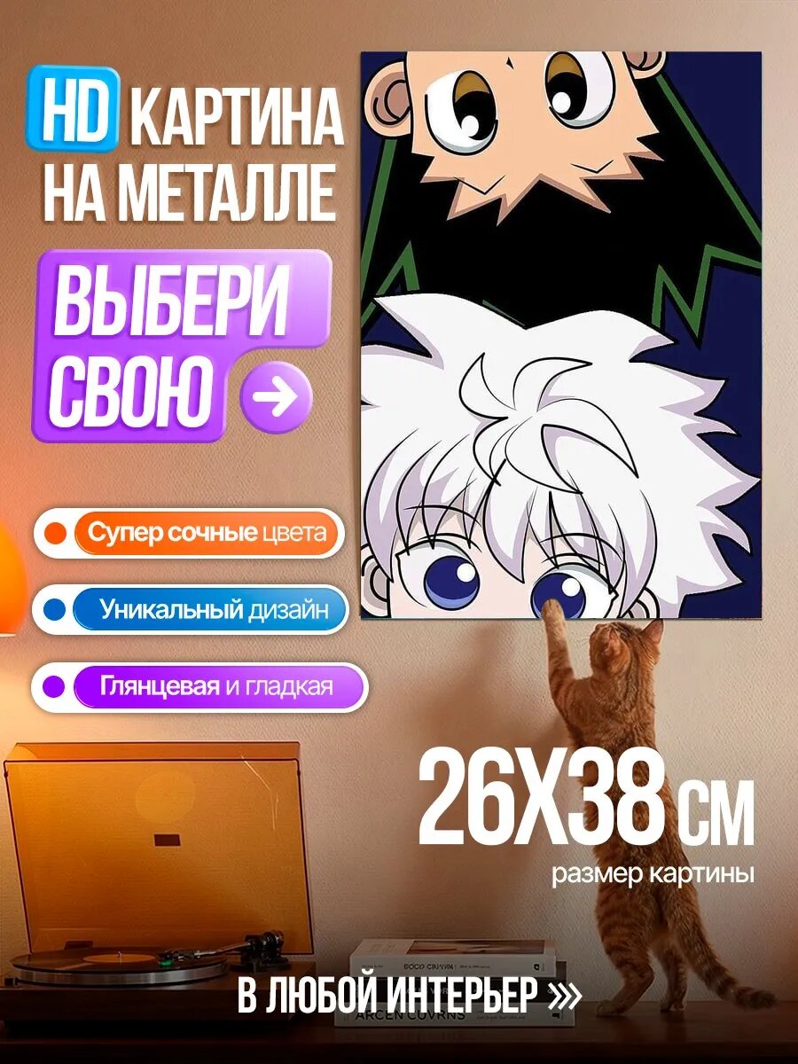 Картина на HD металле Киллуа и Аллука