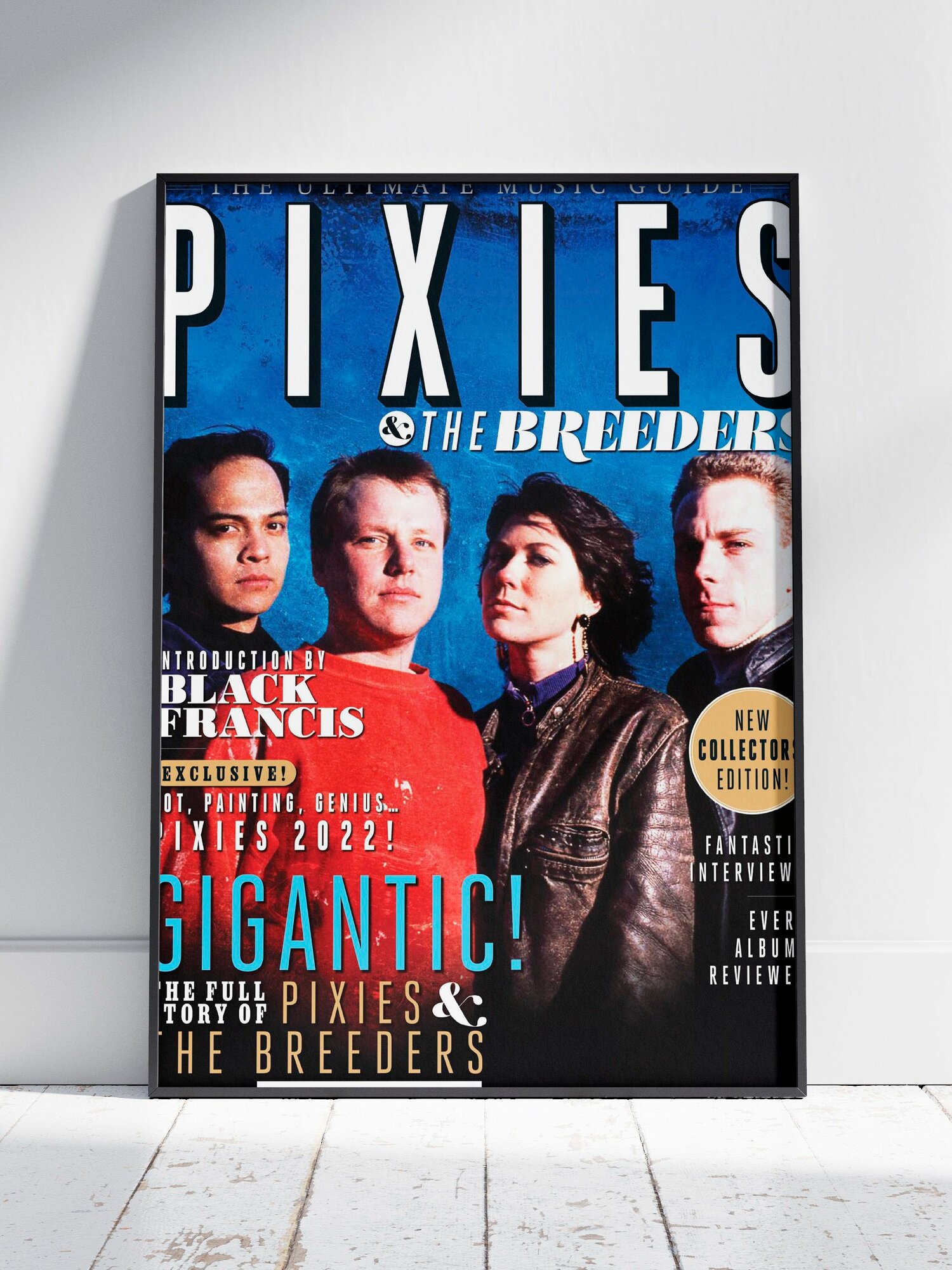 Плакат на стену для интерьера Пиксис (The Pixies 5) - Постер по музыке и артисту формата A4 (21x30 см)