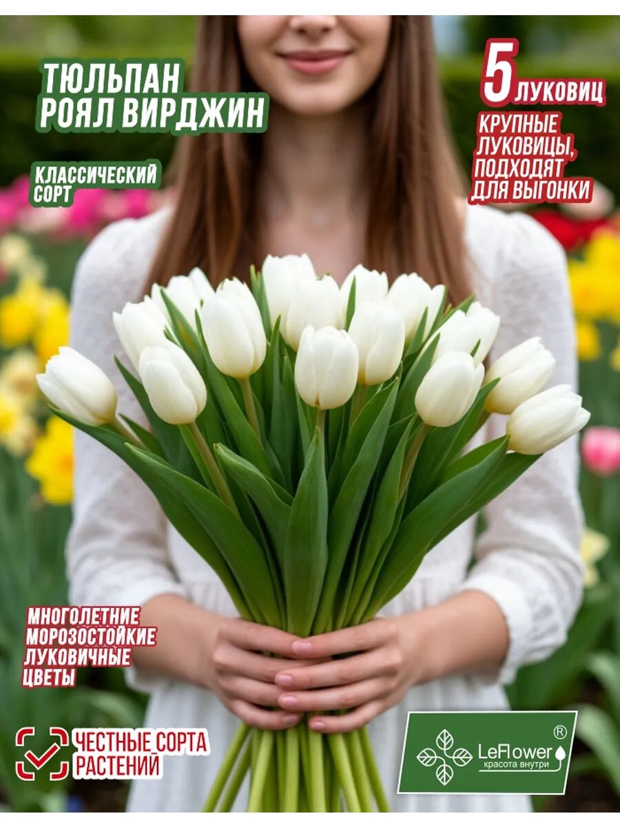 Тюльпан Луковица, Роял вирджин 5 шт крупные