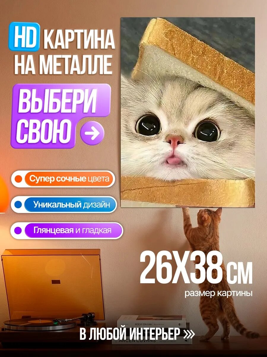 Картина на HD металле Кот в сэндвиче