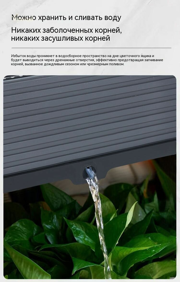 Грядка — фото 1
