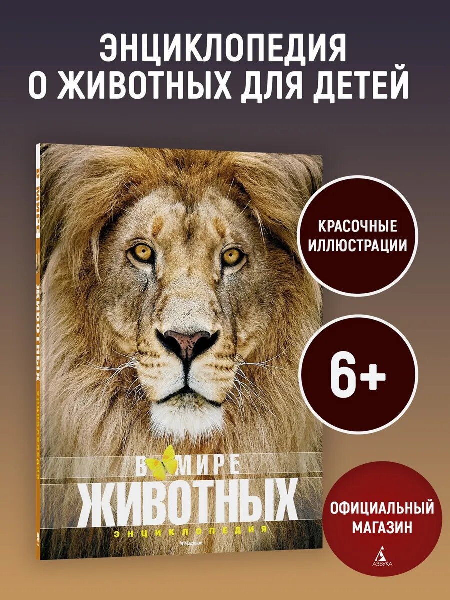 В мире животных