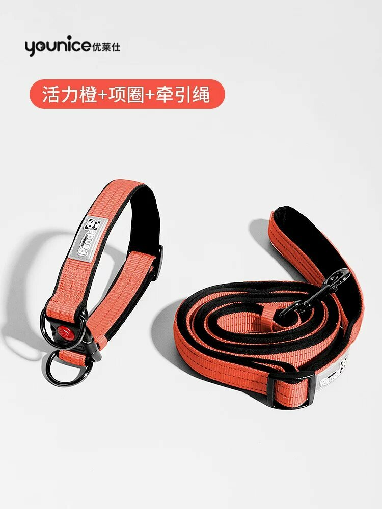 Ошейник для собак средних и крупных пород, специально для корги, шиба-ину, лабрадоров и малинуа, с особым поводком и