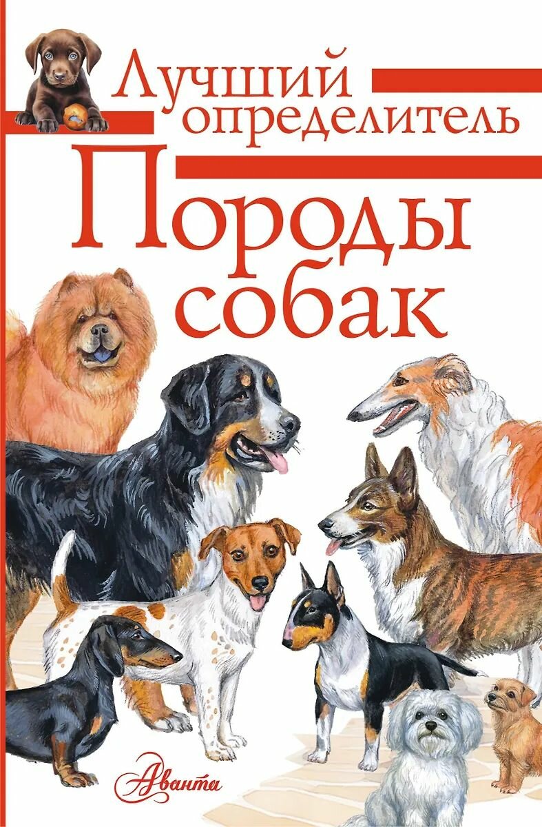 Познавательная книга для детей АСТ Породы собак. Определитель Михальская А. К, 2025 г
