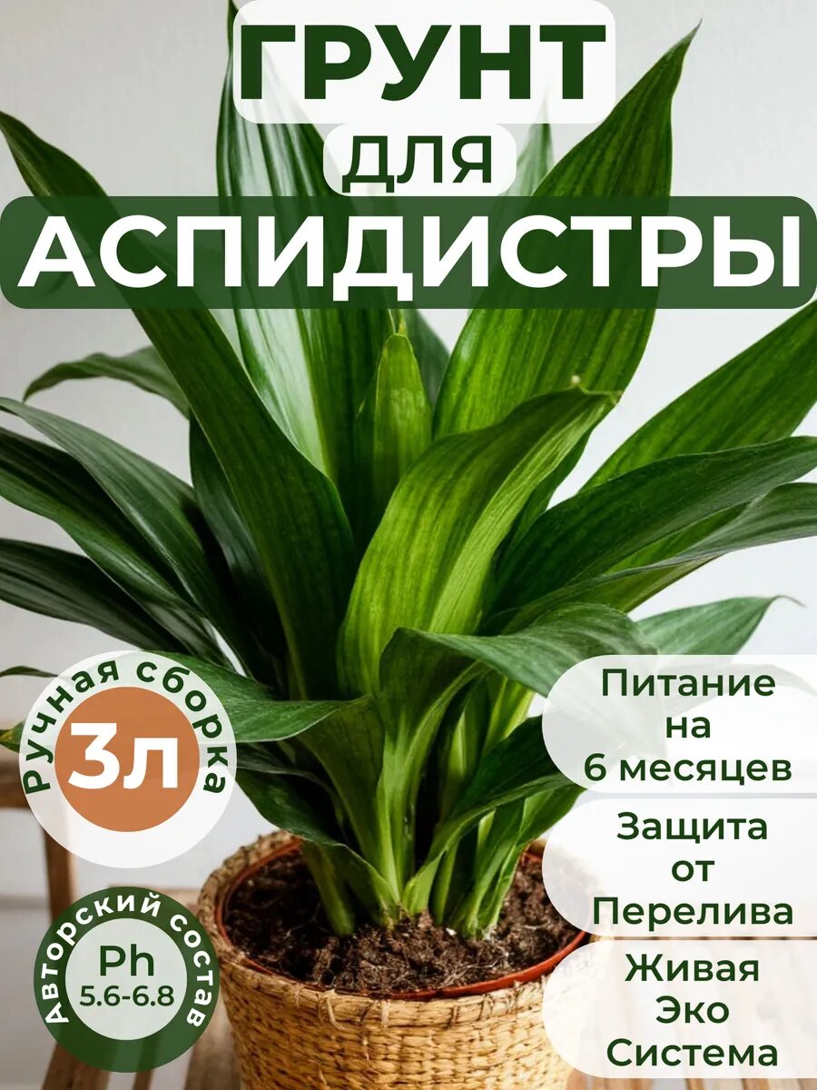 Готовый авторский грунт для Аспидистры, премиум 3 литра
