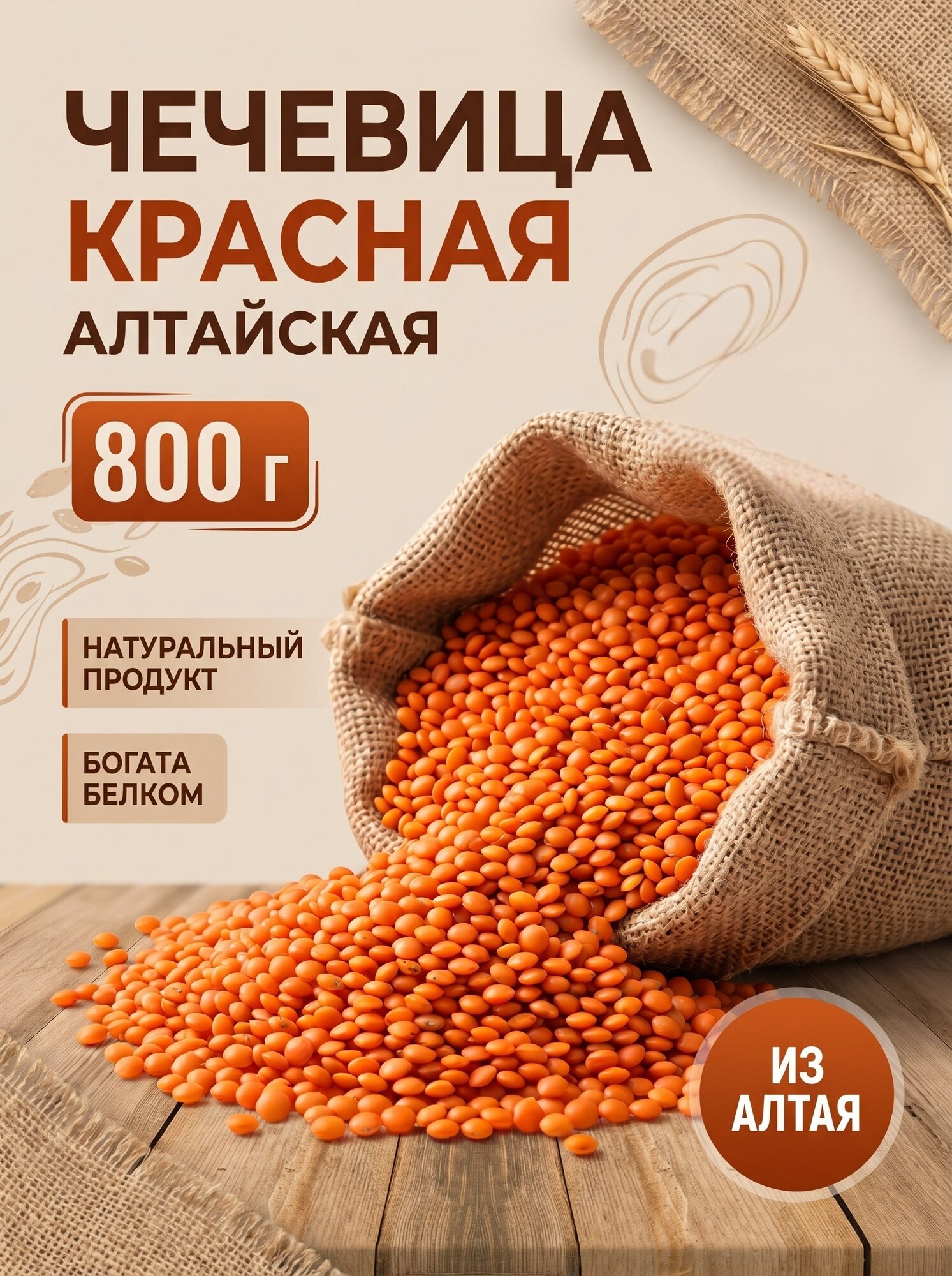 Красная чечевица (Lens culinaris)