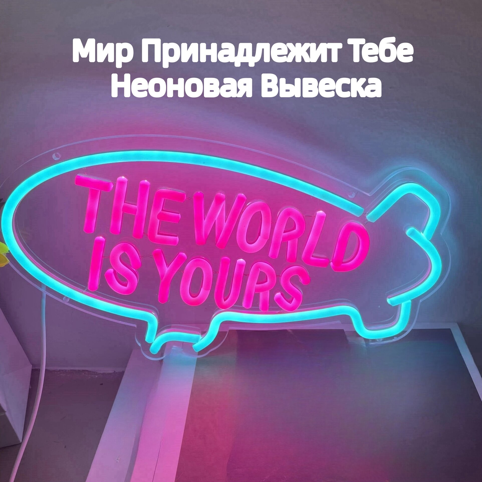 Неоновая Вывеска The World Is Yours С Регулируемой Яркостью USB-подсветки Для Декора Спальни И Детской Комнаты 42cmx20cm