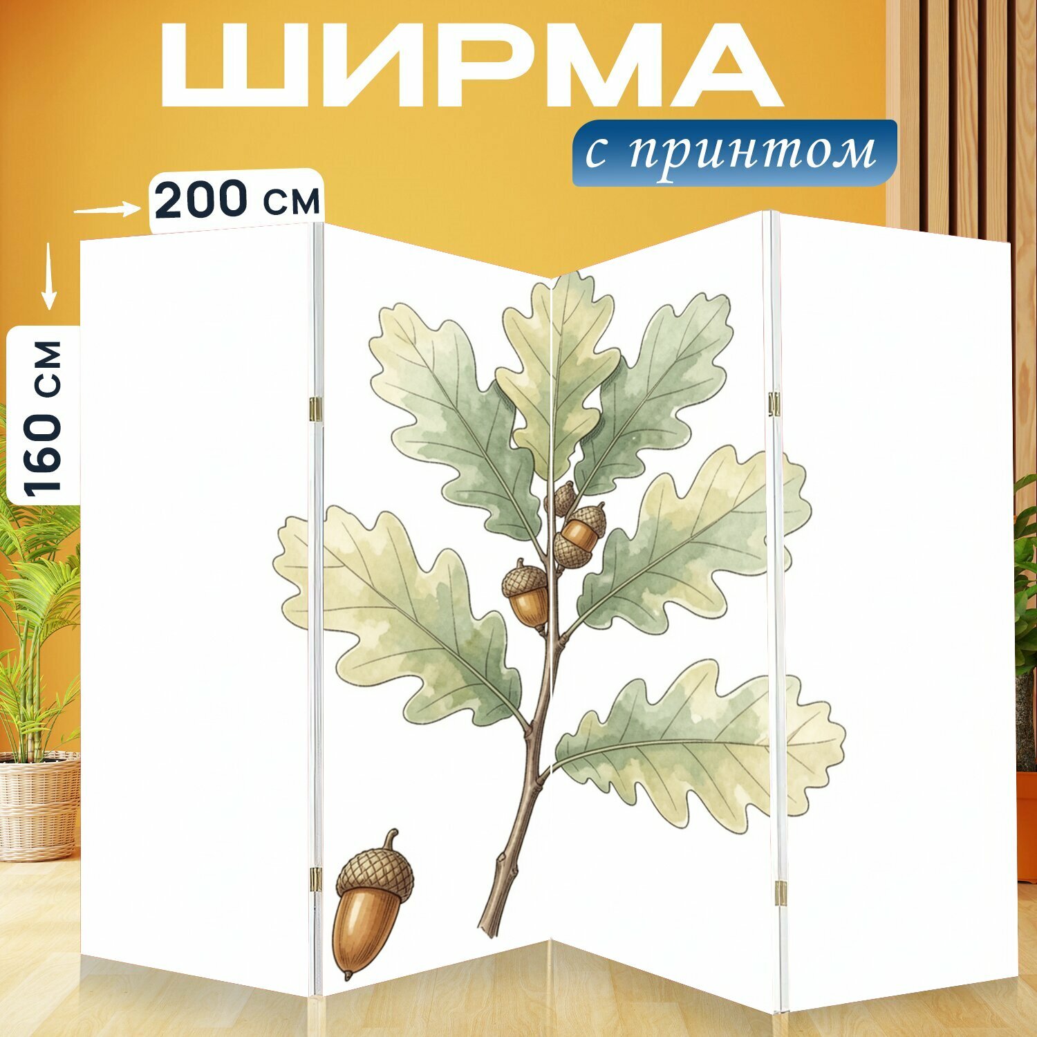Ширма "Ветвь дуба с желудями. Акварельная ботаническая иллюстрация с резными листьями и спелыми плодами в." перегородка для зонирования комнаты с принтом 200x160 см. на холсте