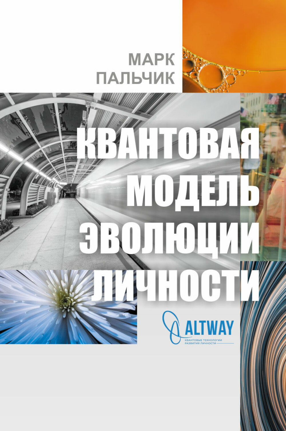 Квантовая модель эволюции личности. 4-е изд, испр. Пальчик М. Я.