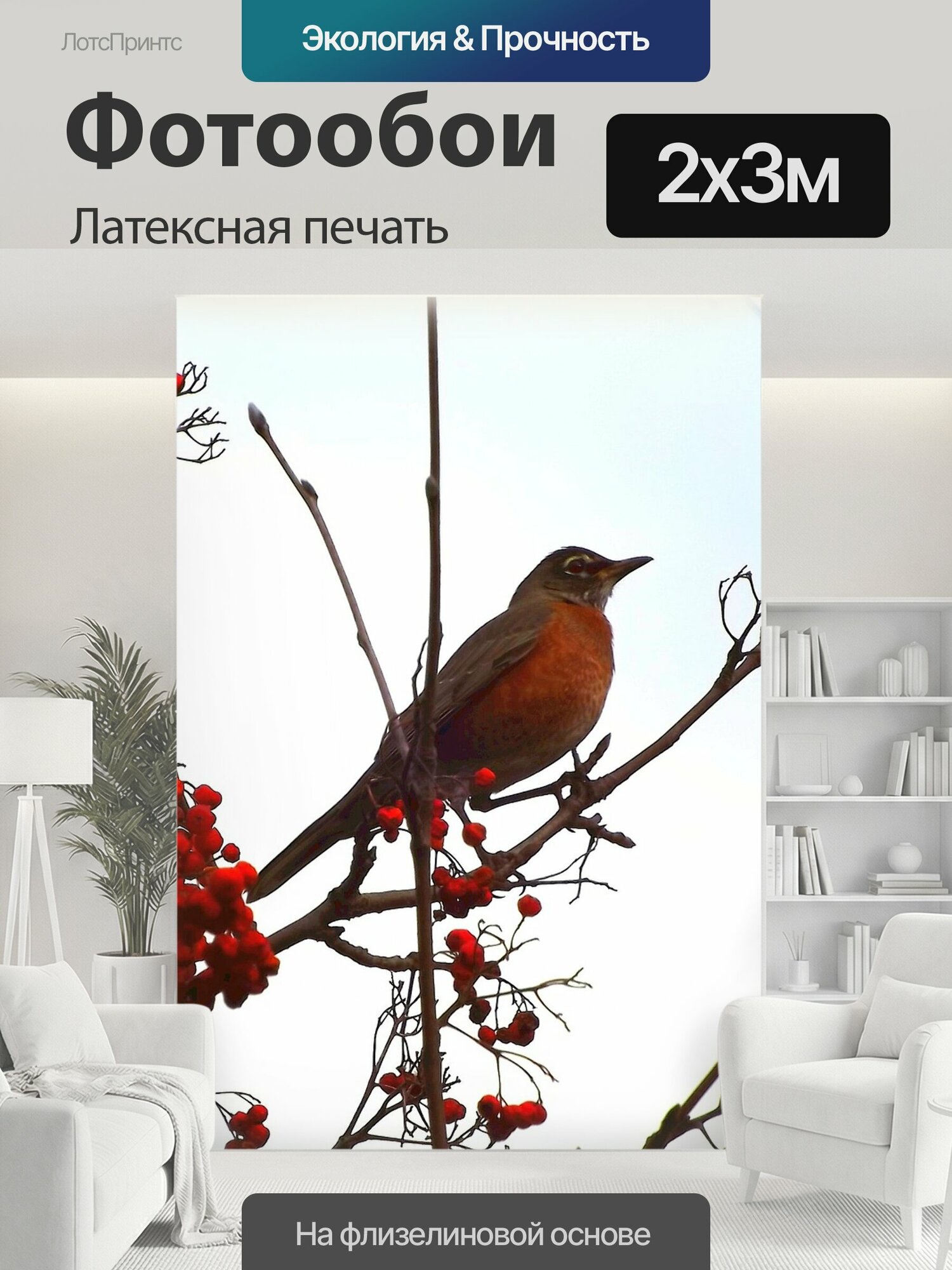 Фотообои моющиеся ударопрочные "Дрозд, птица, сапсан" 200x300 см. латексная печать