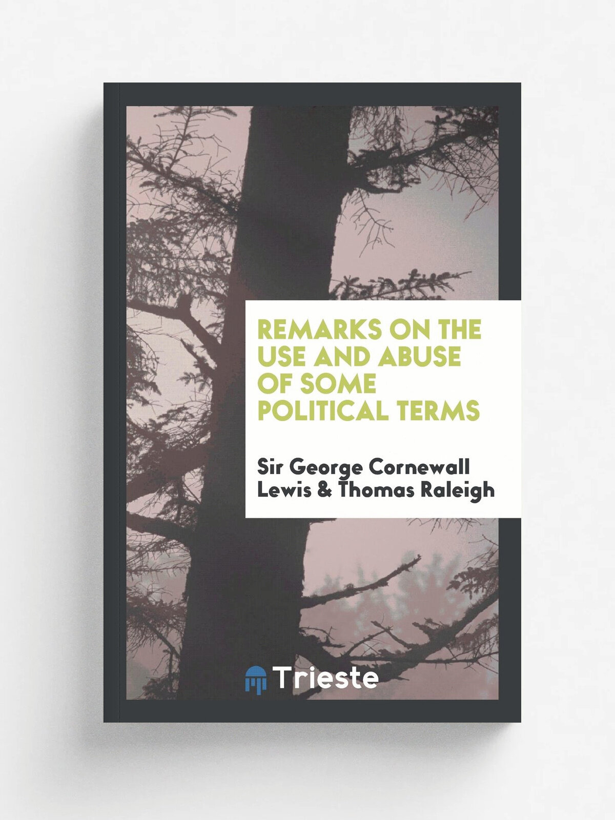 Remarks on the Use and Abuse of Some Political Terms