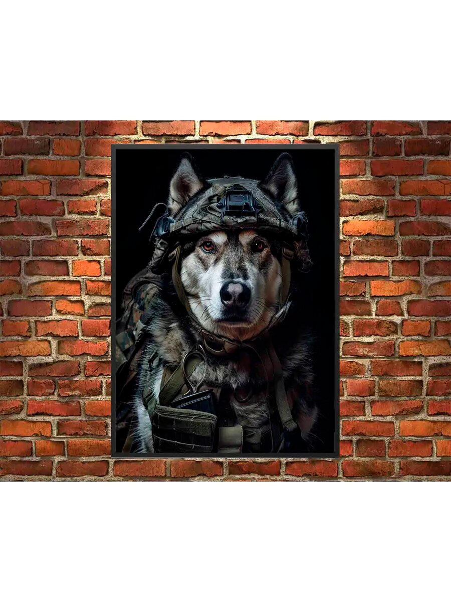 Аляскинский маламут-собака-солдат 3, Плакат 30x42см