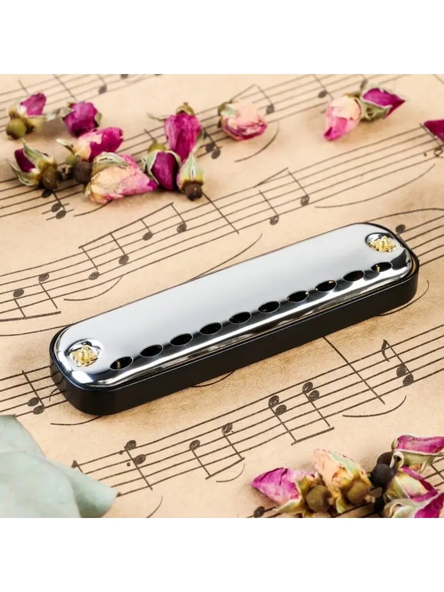 Губная гармошка с футляром для начинающих