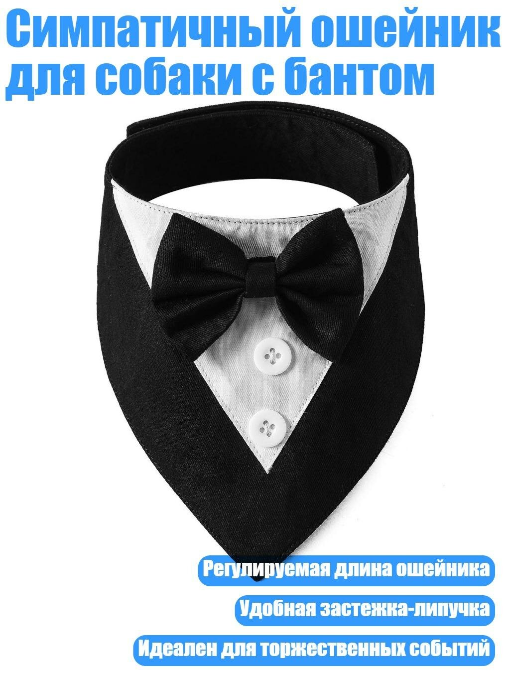 Симпатичный ошейник для собаки с бантом, Черный - L