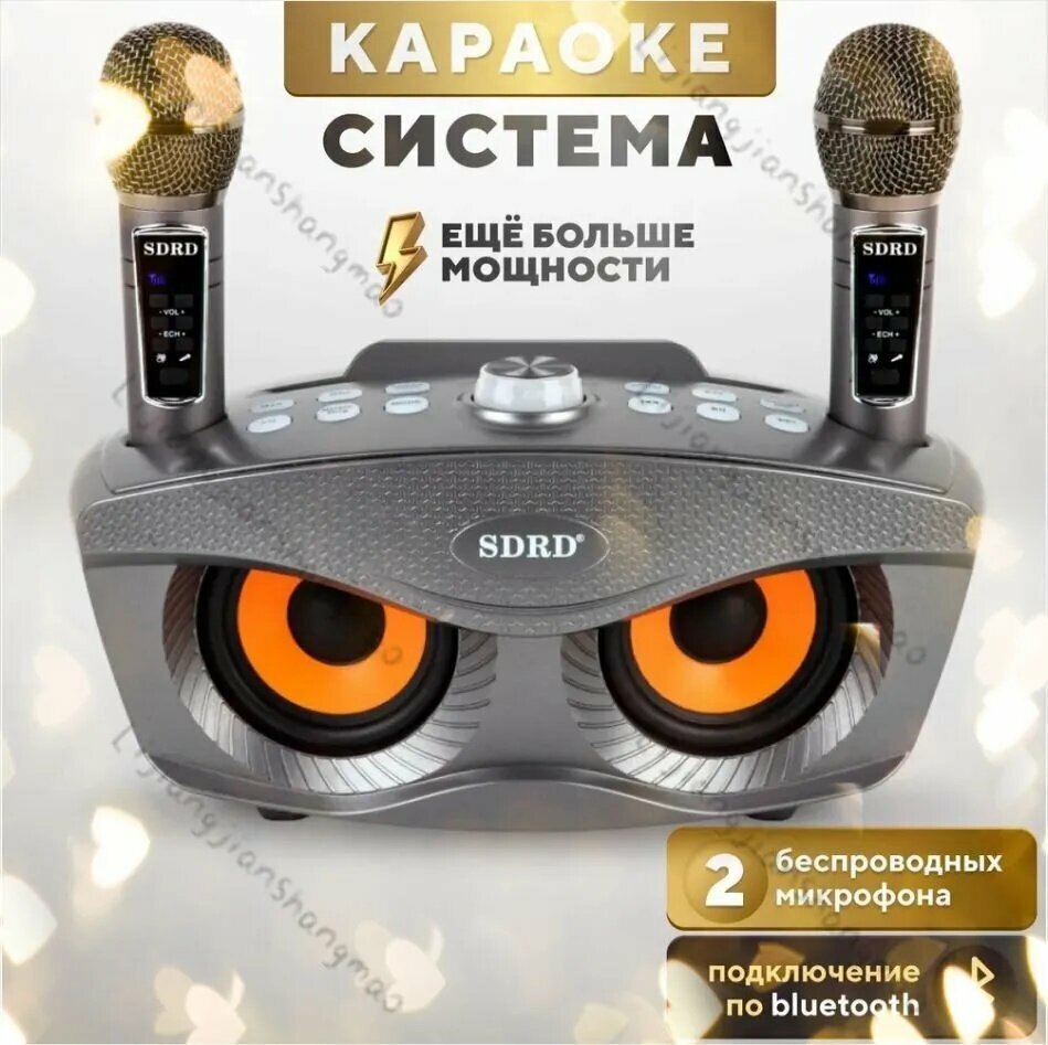 Караоке система беспроводная с двумя микрофонами SDRD SD-306 Plus Серый
