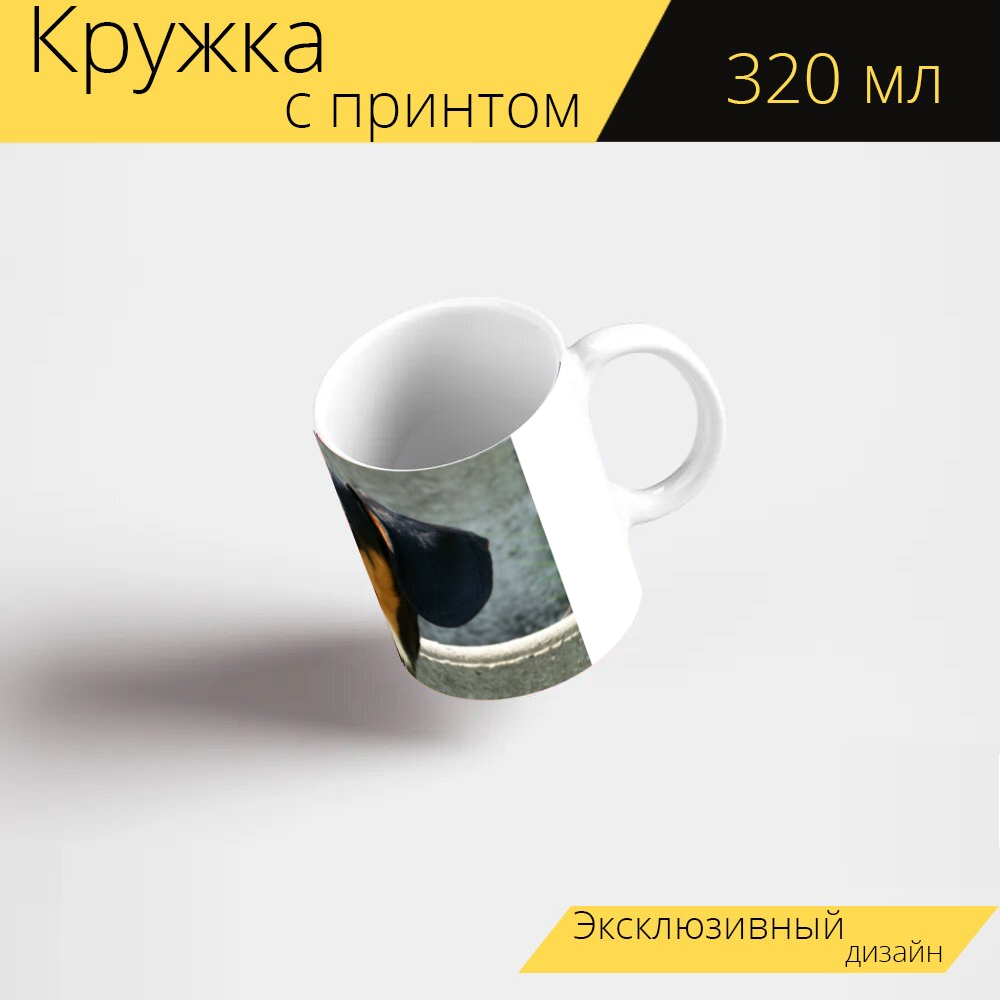 Кружка с рисунком, принтом "Собака, собачий, такса" 320 мл.