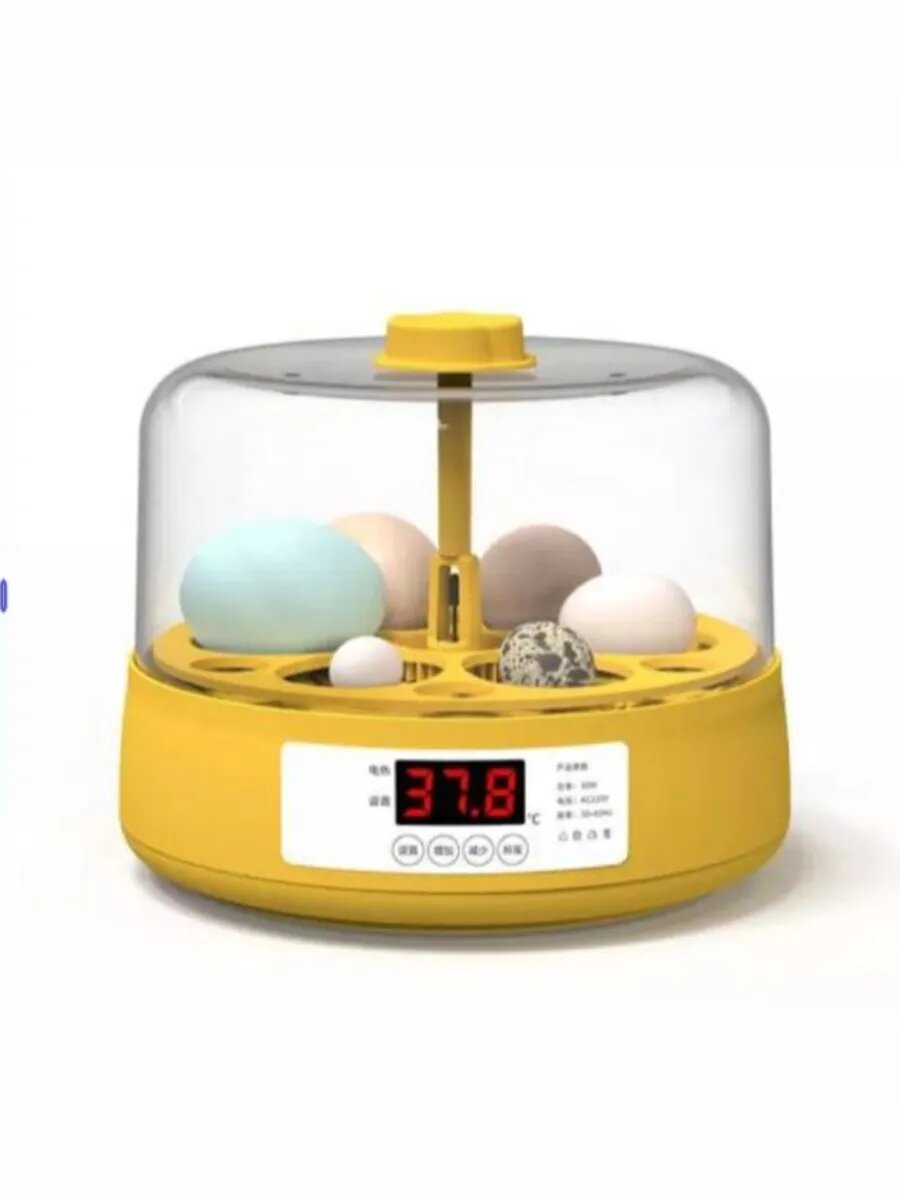 Мини-инкубатор на 6 куриных яиц WQ-Y6. Автоматический инкубатор с овоскопом и переворотом яиц