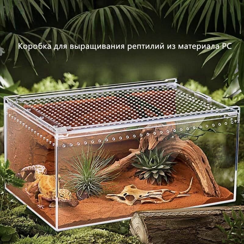 Большие аквариумы для рептилий