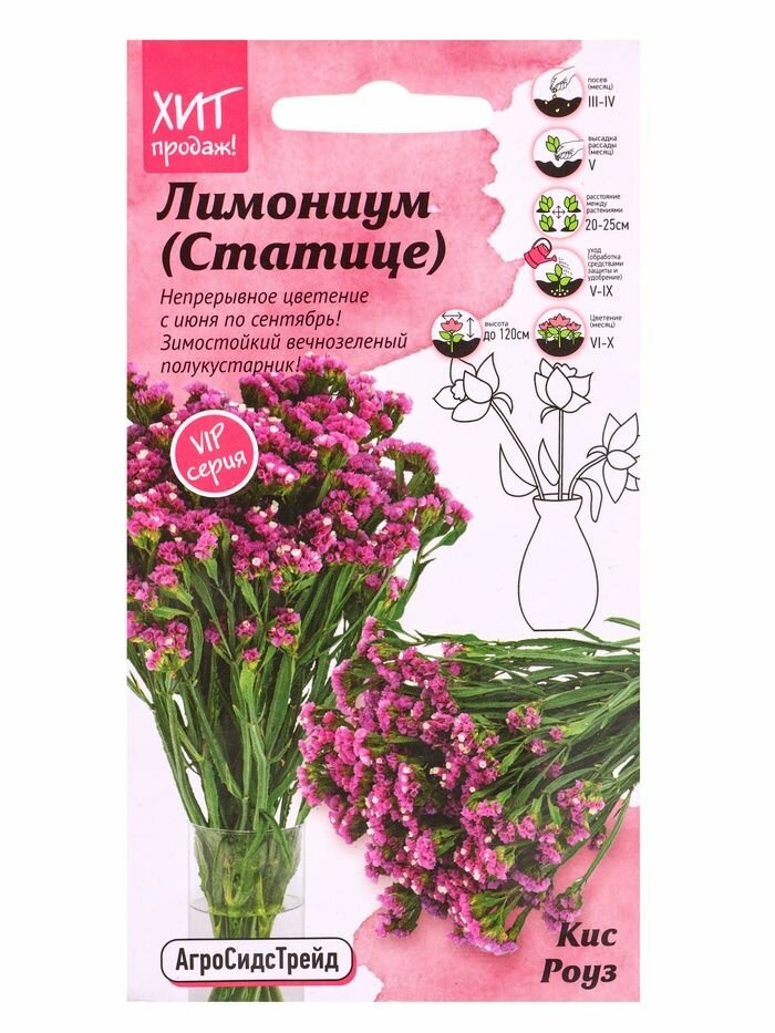 Семена цветов Лимониум (Статице) Кис Роуз 10 шт
