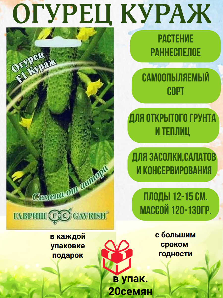 Семена Гавриш Огурец "Кураж F1" - однолетнее растение, раннеспелый гибрид 20 семян(2 упаковки)