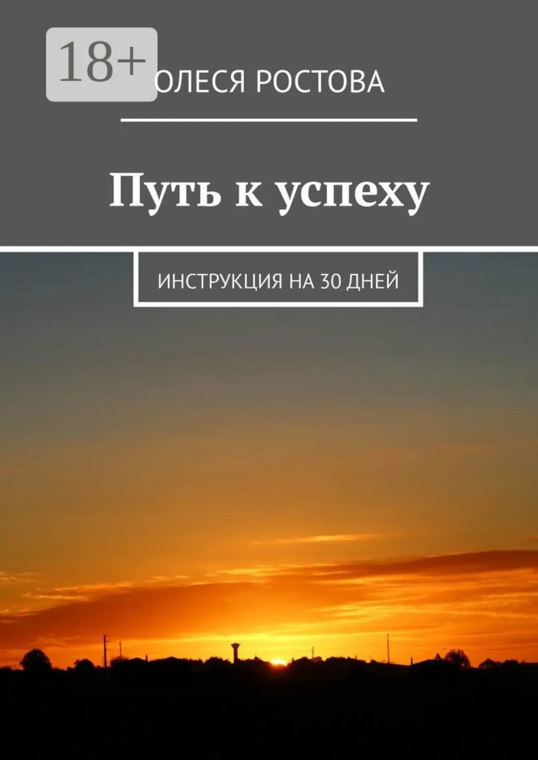 Путь к успеху. Инструкция на 30 дней [Цифровая книга]