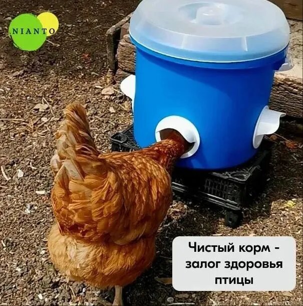 Автоматическая кормушка для цыплят и взрослых птиц, 6 шт, Белый, 130*87 мм, Китай — фото 1