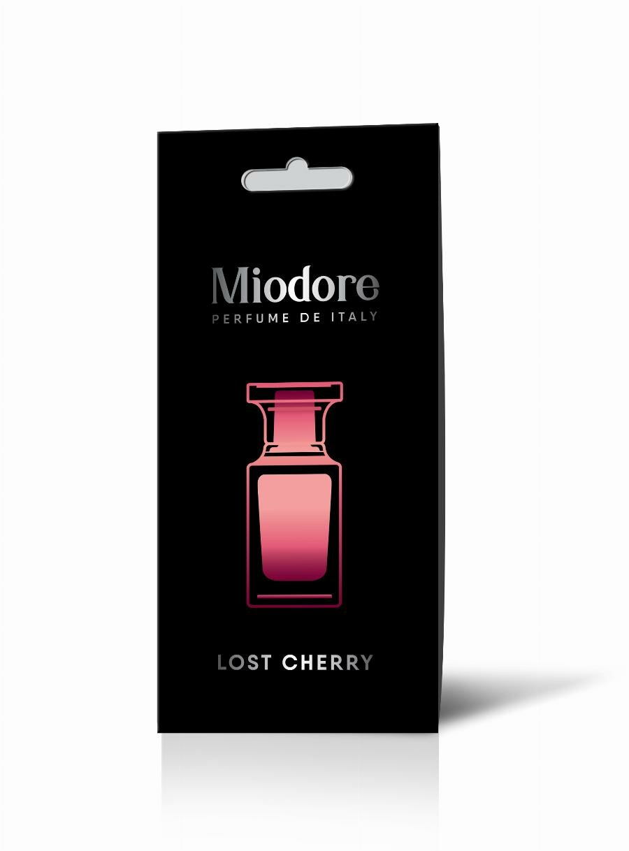 Ароматизатор MIODORE Lost Cherry MDB28 (MIODORE)