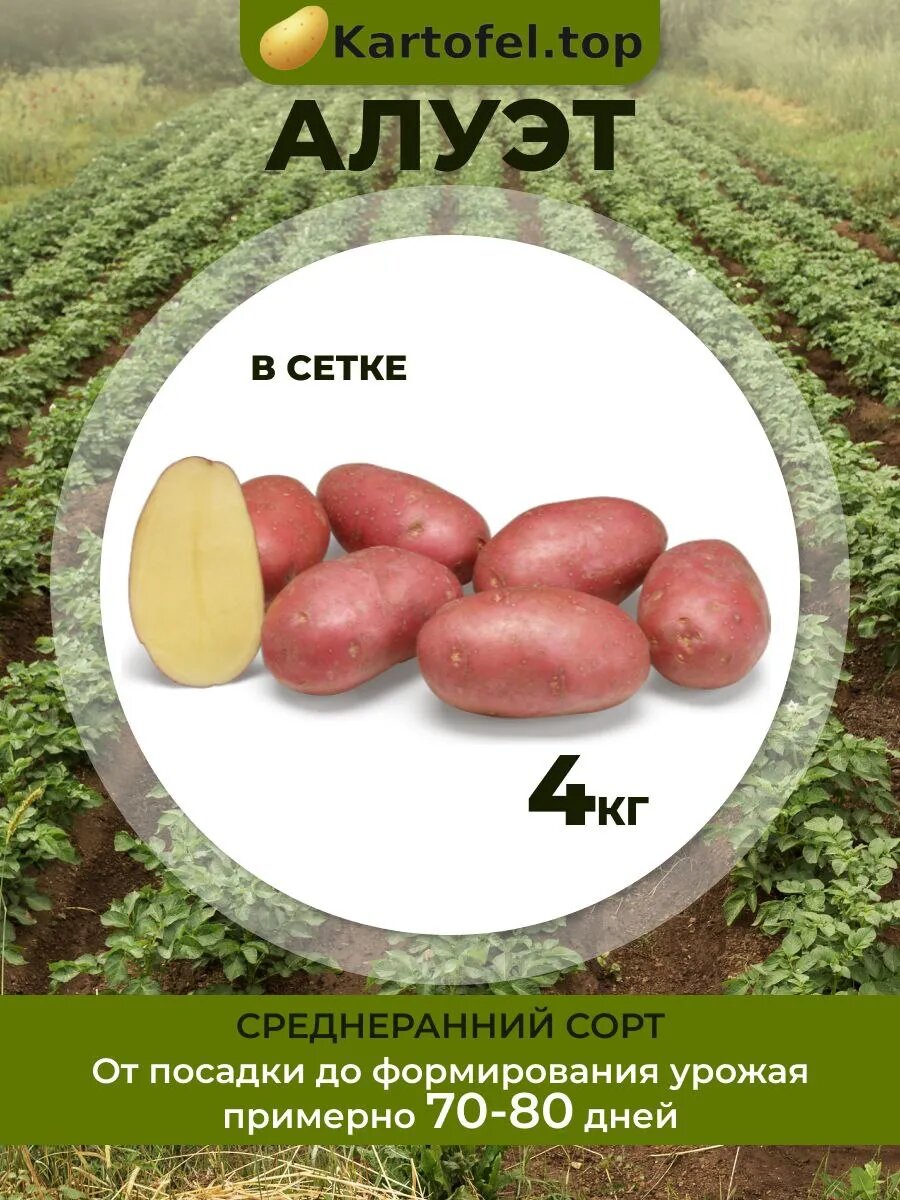 Картофель семенной Алуэт 4 кг
