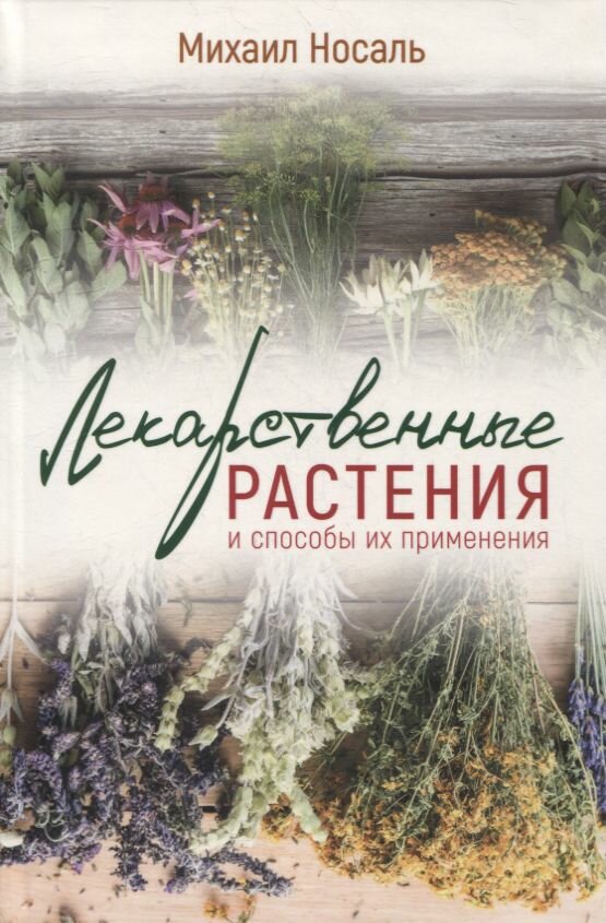 Лекарственные растения и способы их применения в народе