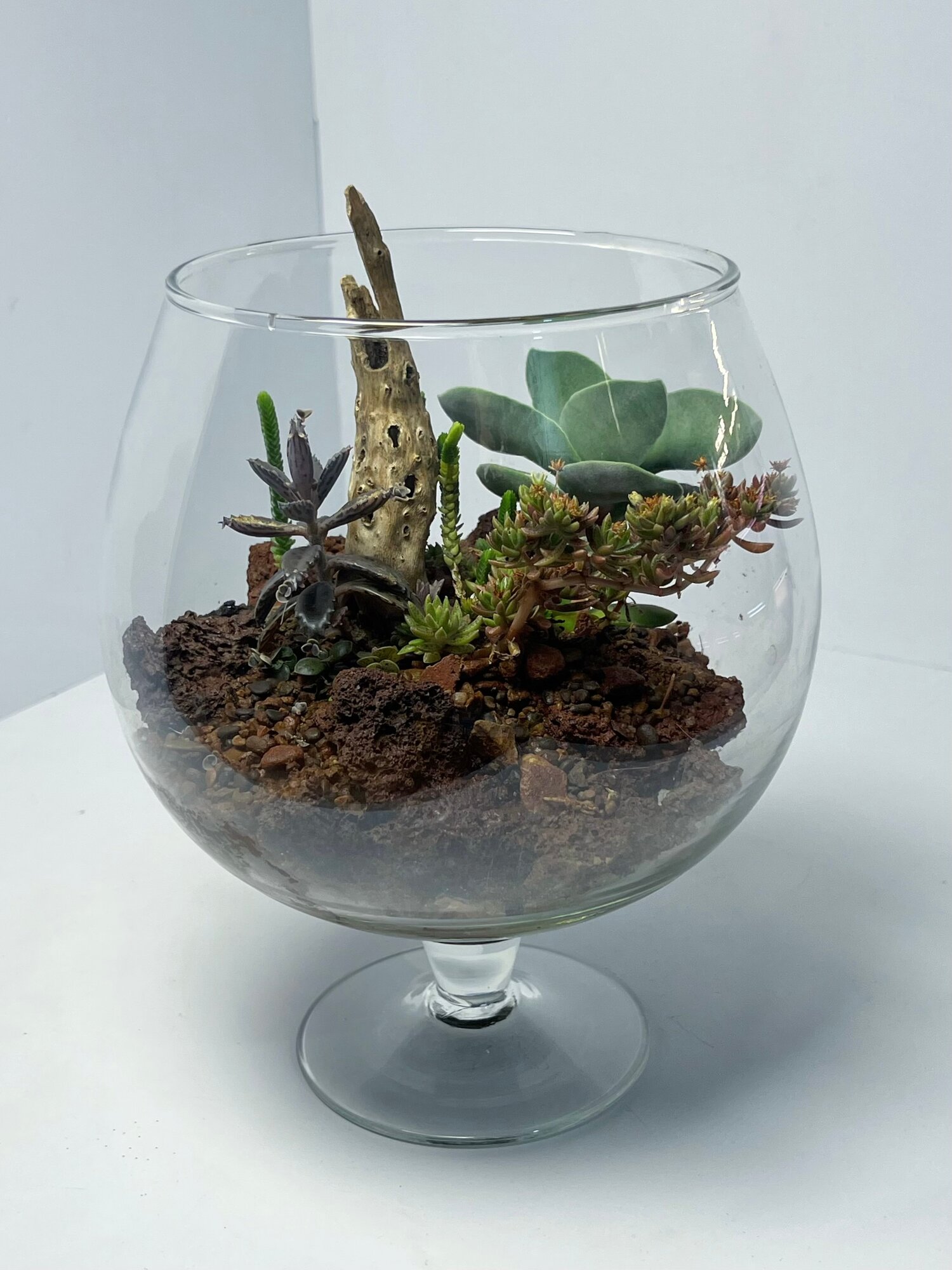Флорариум с неприхотливыми суккулентами в вазе с натуральными камнями и коряжками