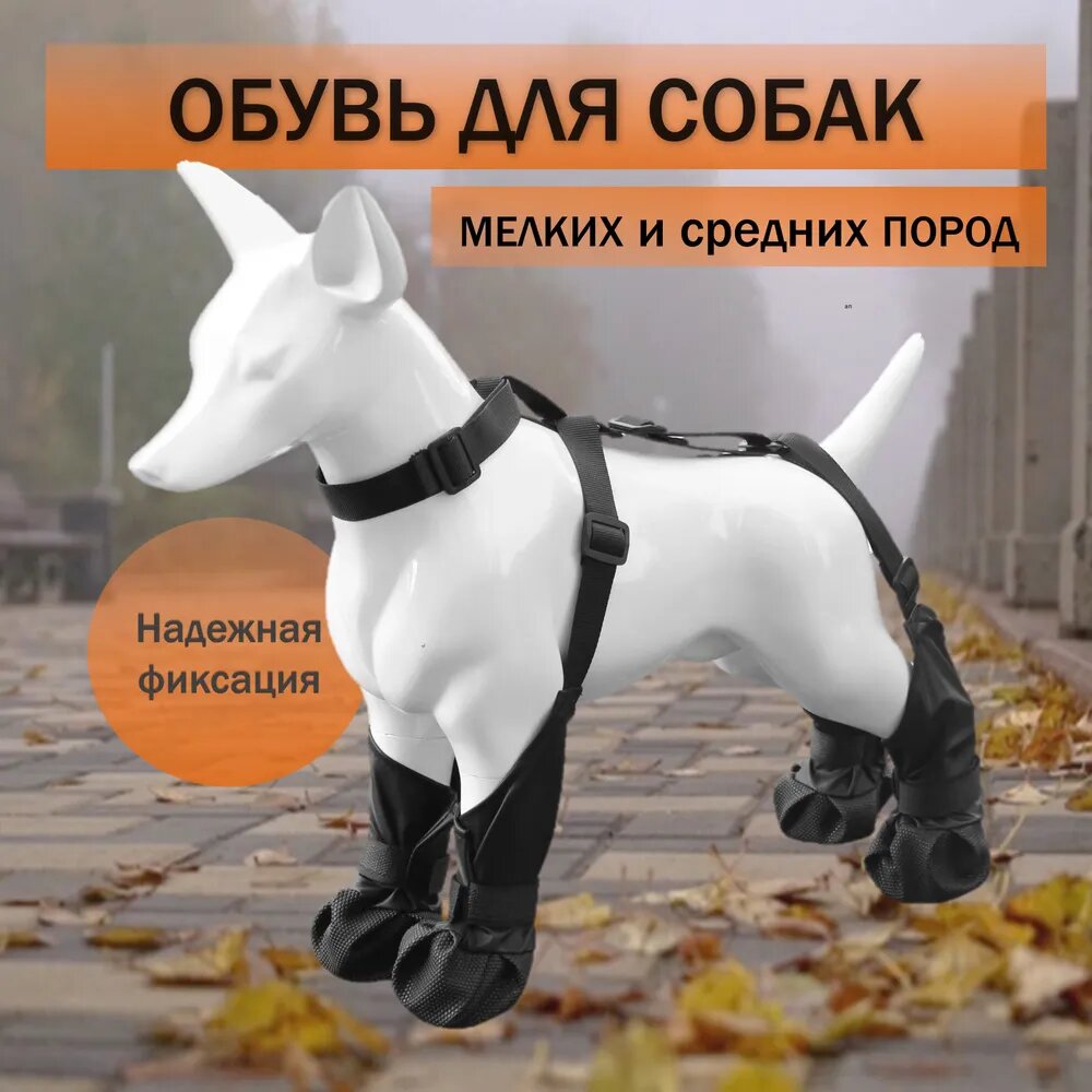 Обувь для собак