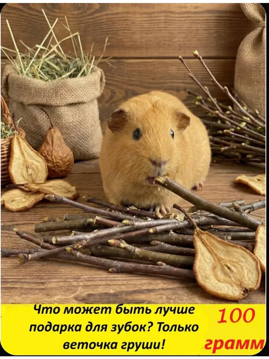 Лакомство для грызунов веточки груши, 100 г