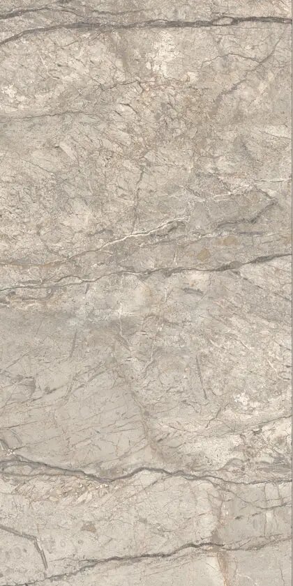 Caesar Керамогранит ANIMA FUTURA AMAZING SILVER LISCIO MATT мат 60x120 10 мм арт. AIAV (цена за 1.44 м2)