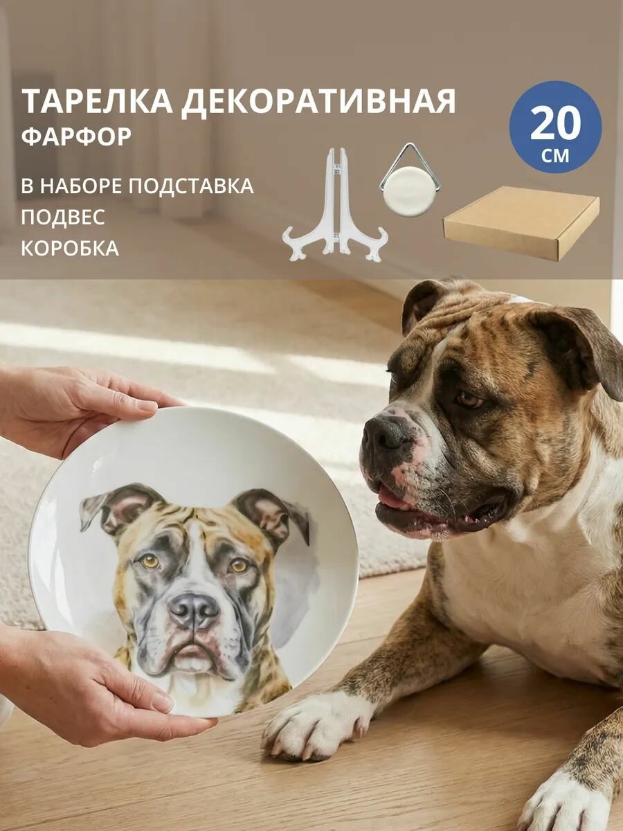 Тарелка декоративная фарфоровая 20 см Добрушский фарфор Бакс