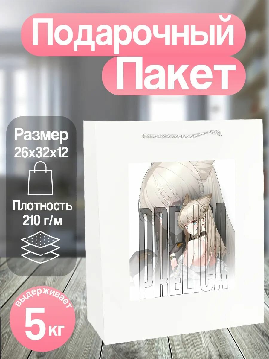 Пакет подарочный Arknights Endfield