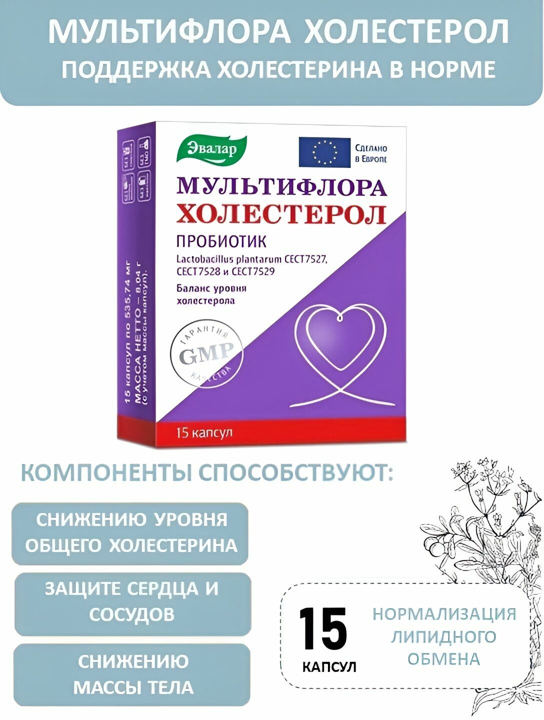 БАД Мультифлора Холестерол 15 шт. капсулы массой 535,74 мг - 1уп
