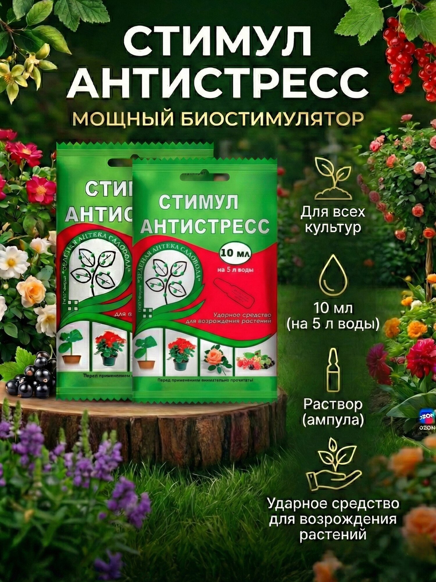 Регулятор роста Стимул жидкий, 2 ампулы по 10 мл. Восстанавливает растения после пересадки и черенкования, предотвращает заболевания, повышает декоративные качества и урожайность