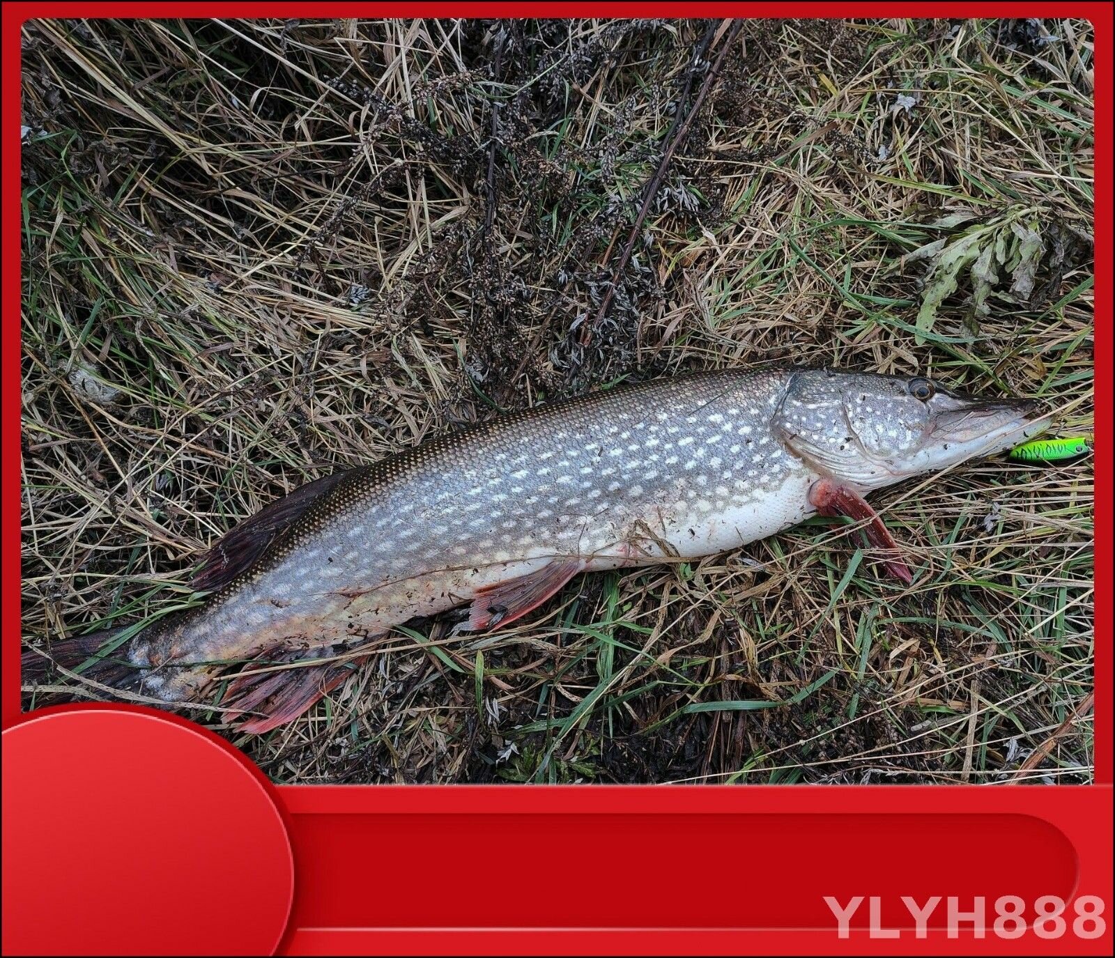 Воблер Малас для рыбалки 3 штуки. Воблер рыболовный Malas