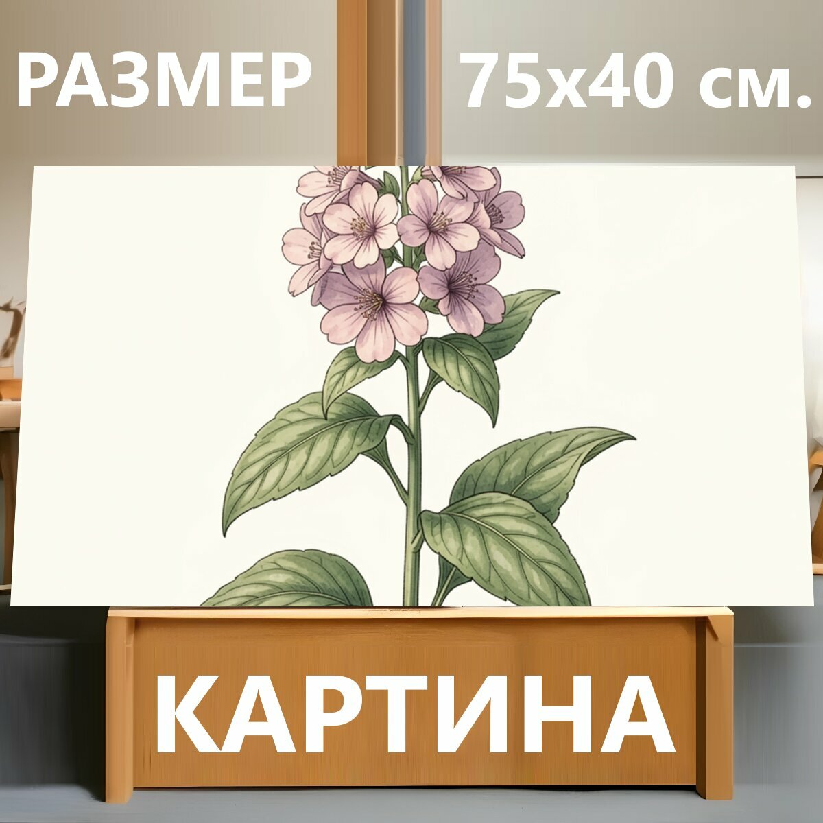 Картина на холсте "Розово-фиолетовые цветы на стебле. Нежная ботаническая иллюстрация с высоким цветущим растением, пастельными лиловыми и." на подрамнике 75х40 см. для интерьера