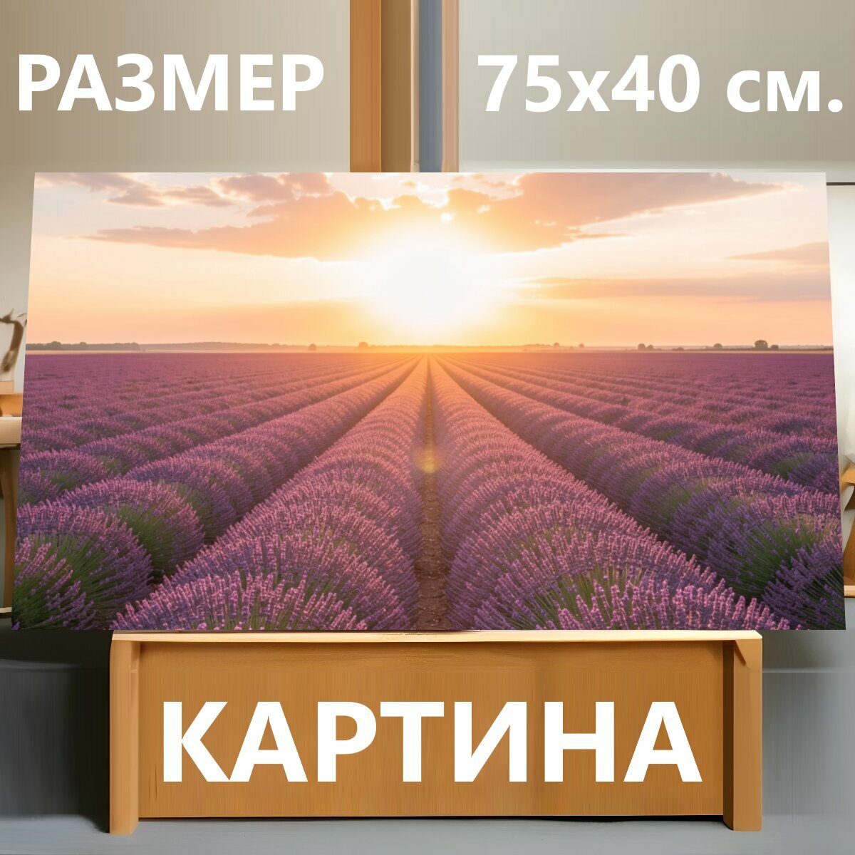 Картина на холсте "Лавандовое поле на закате. Бескрайняя цветочная плантация с ровными рядами сиреневых кустов, уходящих к горизонту. Мягкий." на подрамнике 75х40 см. для интерьера