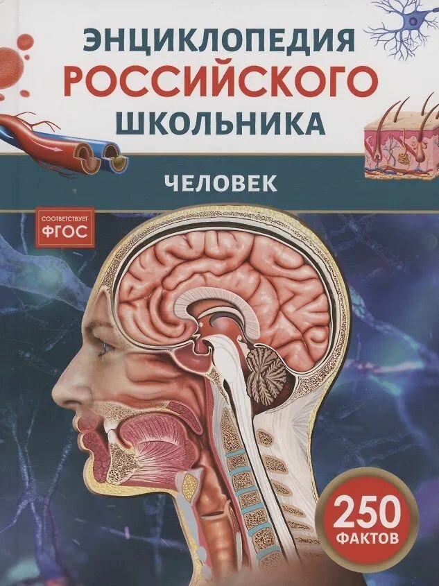 Человек. Энциклопедия российского школьника