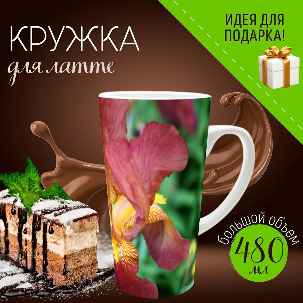 Кружка латте керамическая большая для чая и кофе с прикольным принтом "Фиолетовый Ирис Фиолетовый Ирис ирис цветок фиолетовый лиловый желтый" 500 мл.